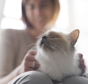 Pet Sitting - Plainfield, Joliet - My Pets Nanny Deb